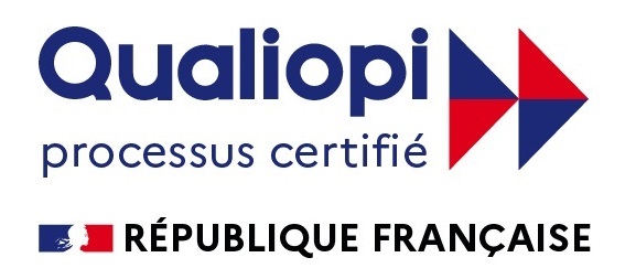ISO 22716 BPF démonstration gratuite formation audit interne ISO 22716 BPF démonstration gratuite formation audit interne